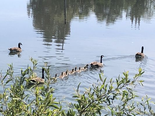 NEWHALL COMMUNITY PARK - Updated May 2024 - 216 Photos & 94 Reviews ...