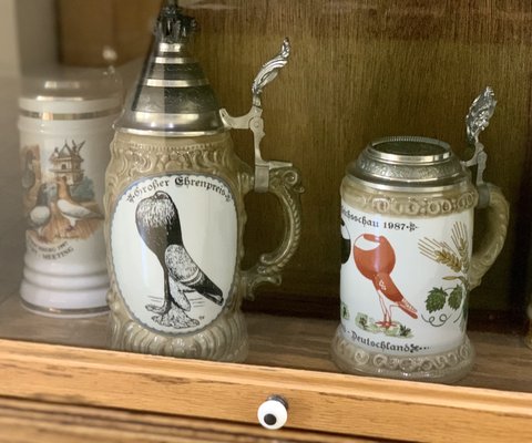 THE AMERICAN PIGEON MUSEUM AND LIBRARY - Updated January 2026 - 99 ...