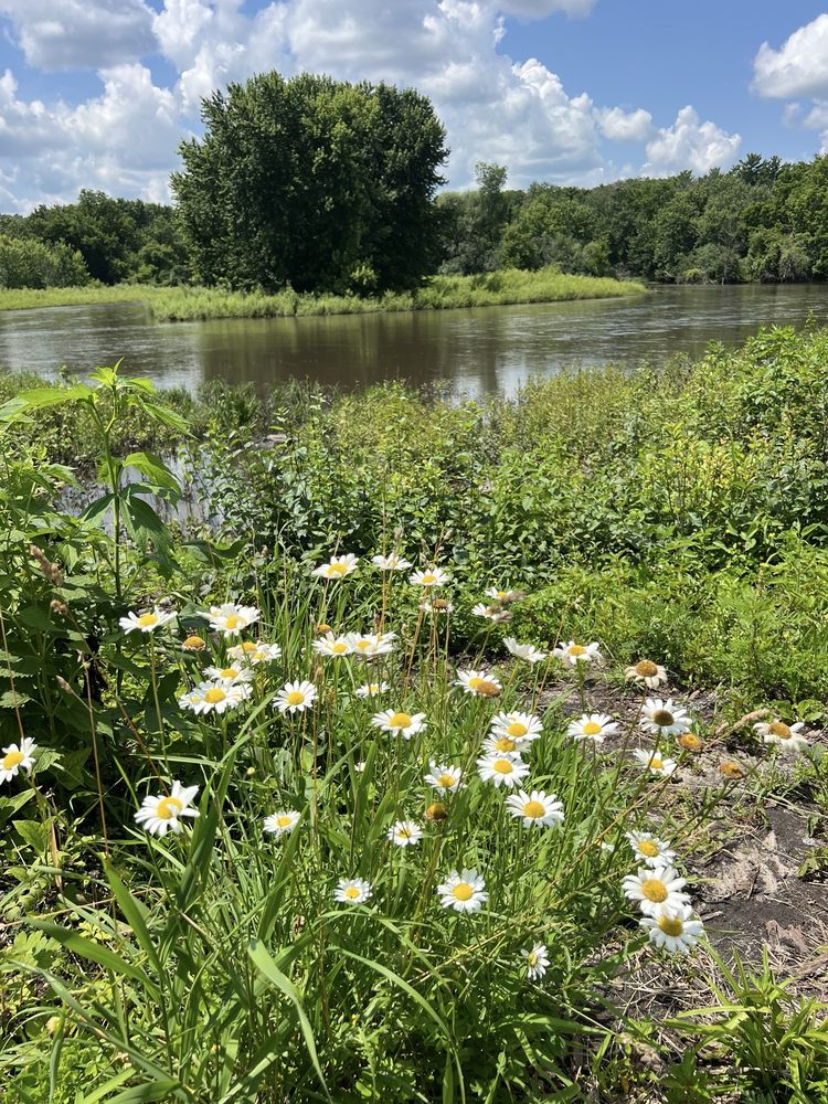 MAYOWOOD LAKE DAM - Updated July 2024 - 35 Photos - 3730 Mayowood Rd SW ...