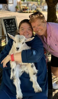 ROSE BRIDGE FARM & SANCTUARY - Updated December 2025 - 250 Photos & 87 ...