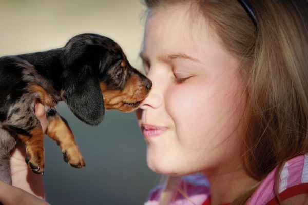 DEERFIELD ANIMAL HOSPITAL - 56 Photos & 80 Reviews - 14855 Blanco Rd ...