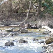 BRUSHY CREEK LAKE PARK - 216 Photos & 74 Reviews - Playgrounds - 3300 ...