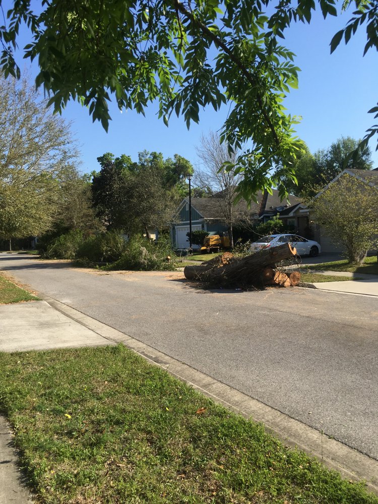 CAMARGO TREE SERVICE - Updated August 2025 - 11619 NW 15th Ln ...