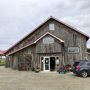 SUN DANCE KIDS FARM - Updated September 2025 - 207 Rte 62, Conewango ...