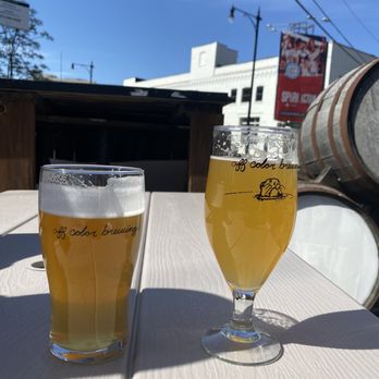 OFF COLOR BREWING - MOUSETRAP - Updated April 2025 - 326 Photos & 208 ...