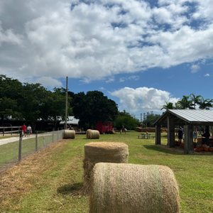 THE LITTLE FARM - 154 Photos & 59 Reviews - 13401 SW 224th St, Miami ...