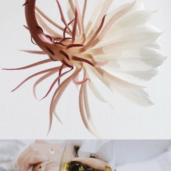 KALOS & MUSE - Updated October 2025 - 123 Photos & 46 Reviews - 101 S ...