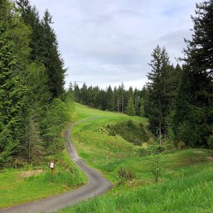 ALLENMORE GOLF COURSE - Updated February 2025 - 12 Photos & 25 Reviews ...