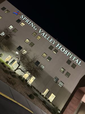 SPRING VALLEY HOSPITAL MEDICAL CENTER - Updated April 2026 - 167 Photos ...