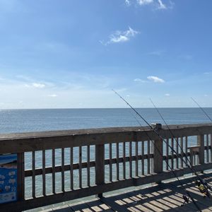 NATIVE AMERICAN SHELL RING - Updated July 2024 - 13 Photos - Fish ...