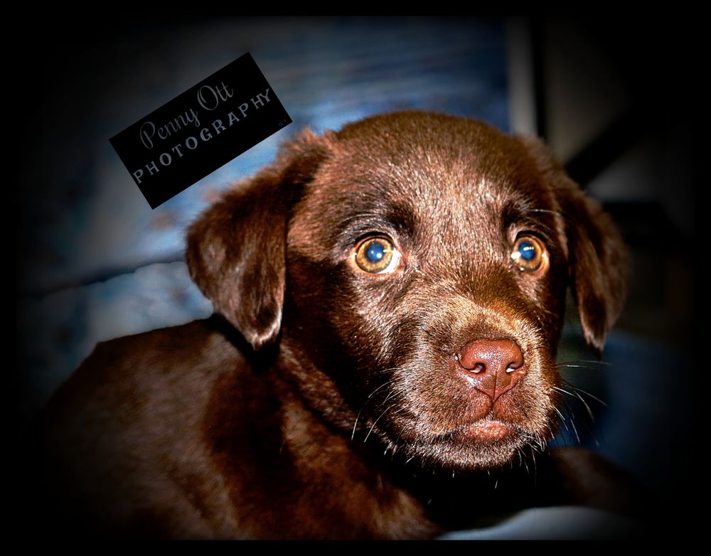 PENNY OTT PHOTOGRAPHY - 15 Photos - Waco, TX - Yelp