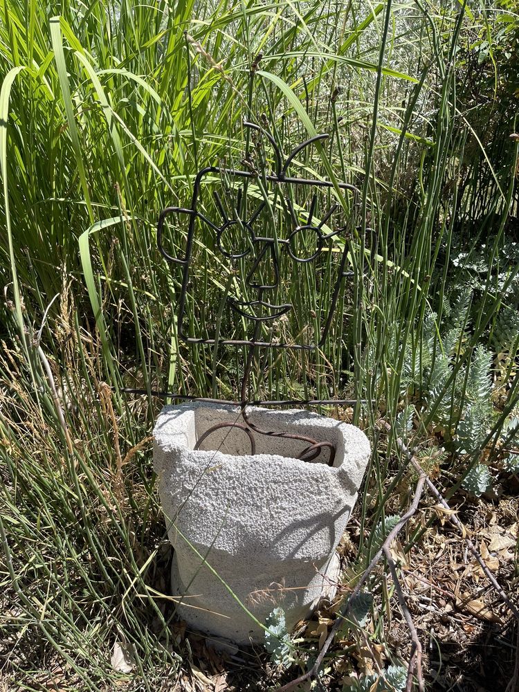 RIVER SCHOOL FARM - Updated December 2024 - 46 Photos & 12 Reviews ...