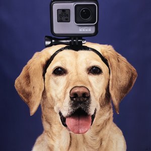 TARGET - 35 Photos & 59 Reviews - 11627 W Hillsborough Ave, Tampa ...