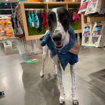 MODERN ANIMAL - Updated May 2024 - 25 Photos & 76 Reviews - 12775 ...