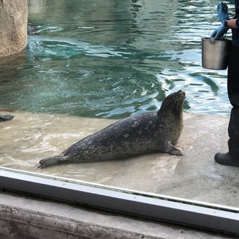 Point Defiance Zoo & Aquarium - 1149 Photos & 394 Reviews - Zoos - 5400 ...