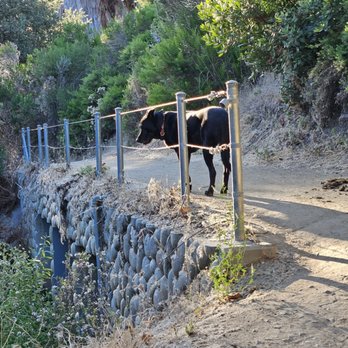 GUAJOME REGIONAL PARK - Updated July 2025 - 383 Photos & 147 Reviews ...