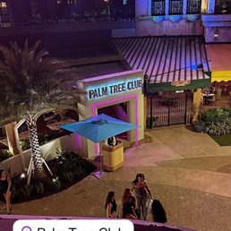 PALM TREE CLUB - Updated February 2025 - 106 Photos & 20 Reviews - 9101 ...