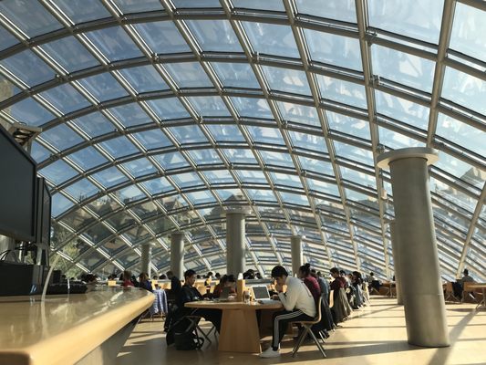 THE JOE AND RIKA MANSUETO LIBRARY - Updated June 2026 - 24 Photos ...