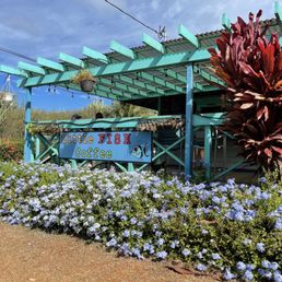 LITTLE FISH COFFEE - Updated October 2025 - 1095 Photos & 1298 Reviews ...