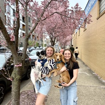 THE DOG PENN - Updated January 2026 - 53 Photos & 13 Reviews - 2614 ...