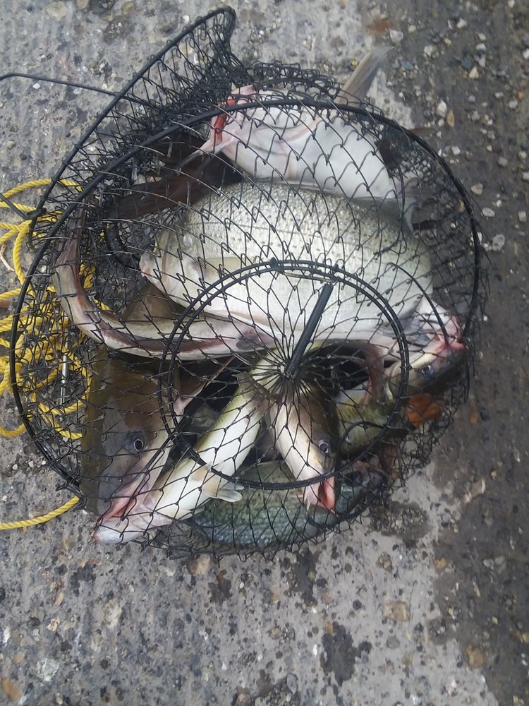 SENECA MARINA - Updated December 2025 - 22172 Park Rd, Senecaville ...