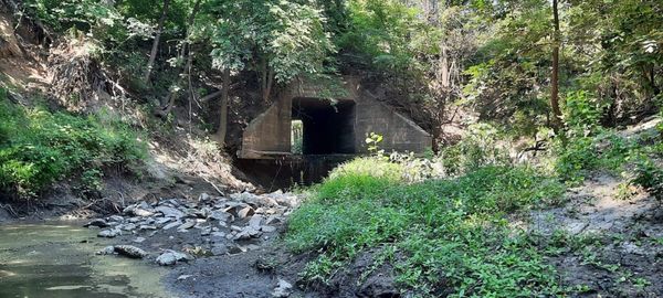 JADE’S NATURE ADVENTURES - Updated September 2024 - 75 Photos - Paxico ...