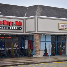 THE HUNGRY MULE - Updated December 2025 - 229 Photos & 347 Reviews ...