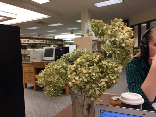 BROOKINGS PUBLIC LIBRARY - Updated October 2025 - 10 Photos - 515 3rd ...