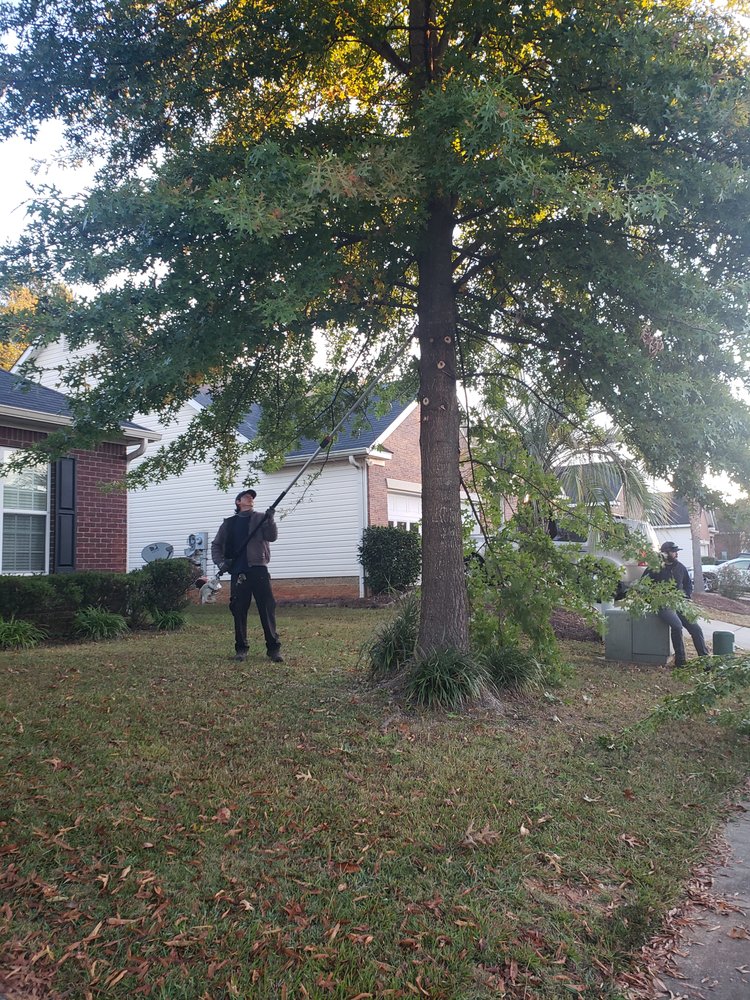 EBEN GRAY’S TREE SERVICE - Updated November 2025 - 10 Reviews - 5514 ...