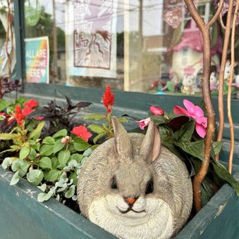 BIRCHBARK BOOKS & NATIVE ARTS - Updated January 2026 - 52 Photos & 45 ...