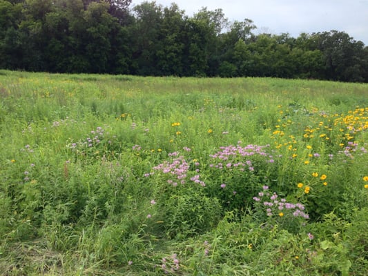 OHEYAWAHI-PILOT KNOB - Updated June 2025 - 2100 Pilot Knob Rd, Mendota ...