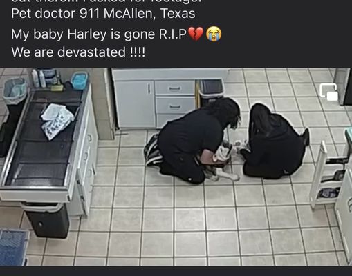 PET DOCTOR 911 - Updated January 2026 - 48 Photos & 154 Reviews - 7017 ...