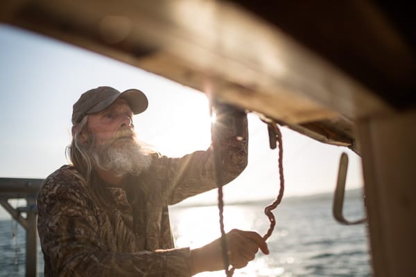 REAL GOOD FISH - Updated August 2025 - 32 Photos & 103 Reviews - 7532 ...