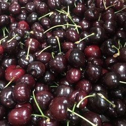 PEDRICK PRODUCE - 967 Photos & 473 Reviews - 6850 Sievers Rd, Dixon ...