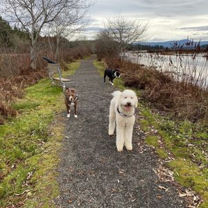 COWLITZ PUBLIC SHOOTING RANGE - Updated January 2026 - 1000 Toutle Park ...