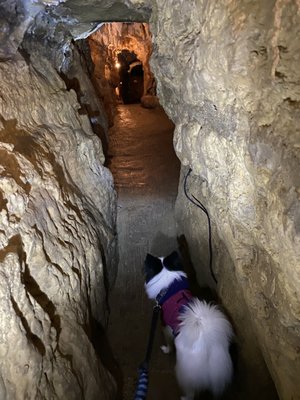 CRYSTAL LAKE CAVE - Updated January 2025 - 127 Photos & 30 Reviews ...