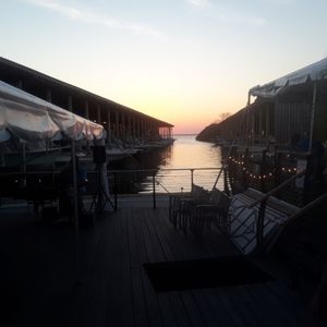 OZONA BLUE GRILLING - 516 Photos & 612 Reviews - 125 Orange St, Palm ...