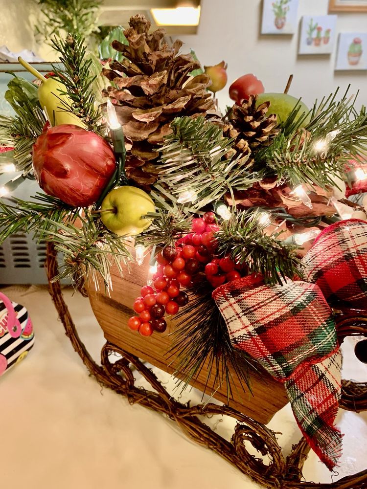 WASHOE COUNTY REGIONAL ANIMAL SERVICES - Updated July 2025 - 16 Photos ...