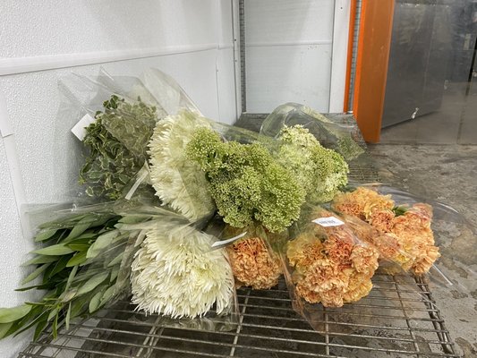 MAYESH CUTFLOWER - Updated August 2025 - 26 Photos & 36 Reviews - 2122 ...