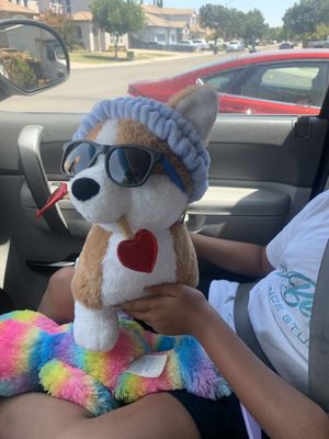 CALVARY CHAPEL OF MODESTO - Updated December 2025 - 14 Photos & 41 ...