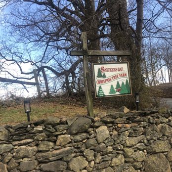 SNICKERS GAP CHRISTMAS TREE FARM - TEMP. CLOSED - Updated July 2025 ...
