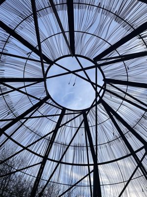 PEASE PARK - Updated January 2026 - 340 Photos & 112 Reviews - 1100 ...