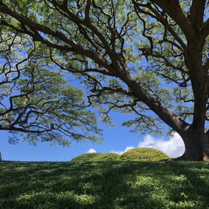 HALAWA DISTRICT PARK - Updated May 2025 - 267 Photos & 19 Reviews - 99 ...