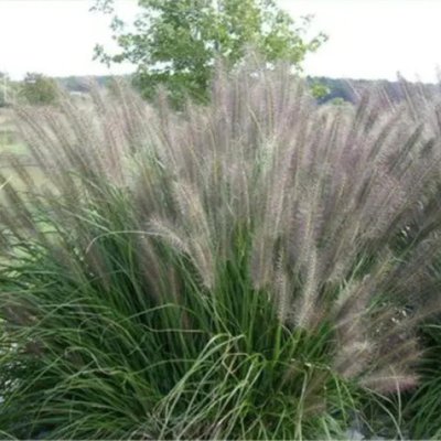 COLD STREAM FARM - Updated January 2026 - 13 Photos & 14 Reviews - 8585 ...