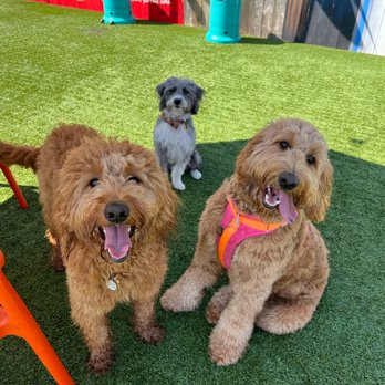 FETCH PARK - Updated August 2025 - 80 Photos & 19 Reviews - 309 ...