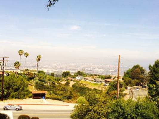 MIRALESTE BRANCH LIBRARY - Updated December 2025 - 44 Photos & 20 ...