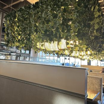 GRACKLE - Updated January 2026 - 224 Photos & 106 Reviews - 11852 Elm ...