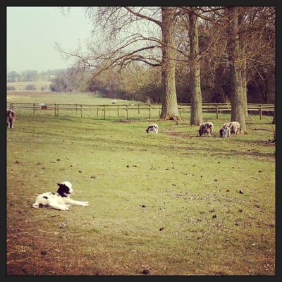 SACREWELL FARM & COUNTRY CENTRE - Updated May 2024 - Sacrewell Farm ...