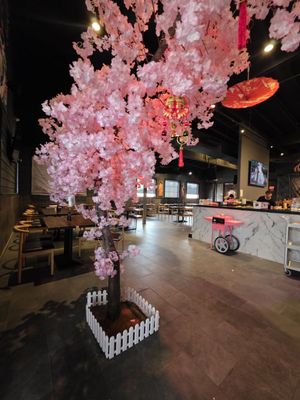 QMI SUSHI - Updated June 2026 - 50 Photos & 42 Reviews - 2301 W Hundred ...