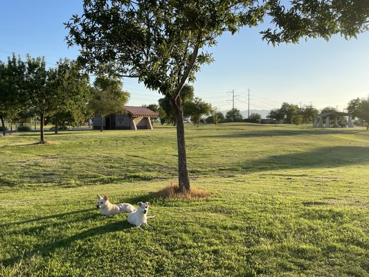 PECOS PARK - Updated January 2026 - 38 Photos & 11 Reviews - 17010 S ...